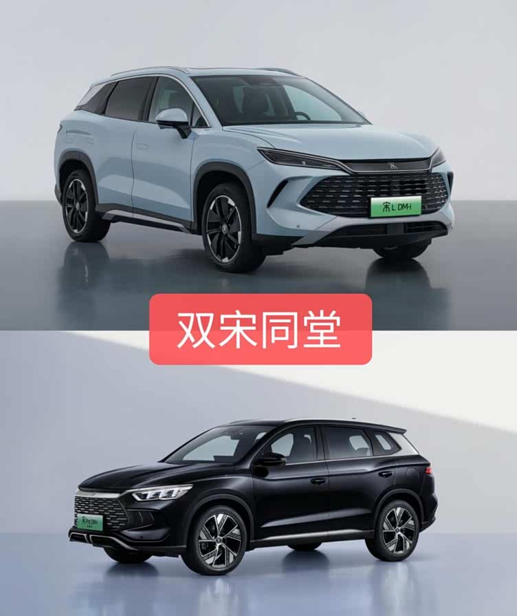 大宋来了！宋L DM-i+宋Pro DM-i“双宋同堂”狙击合资燃油SUV_车家号_发现车生活_汽车之家